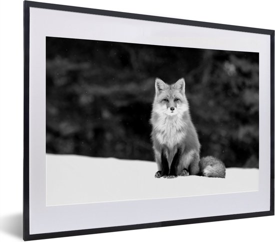 Rode vos in de sneeuw - zwart wit | bol.com
