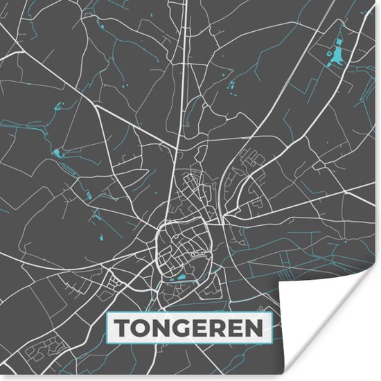 Poster België – Tongeren – Stadskaart – Kaart – Blauw – Plattegrond ...