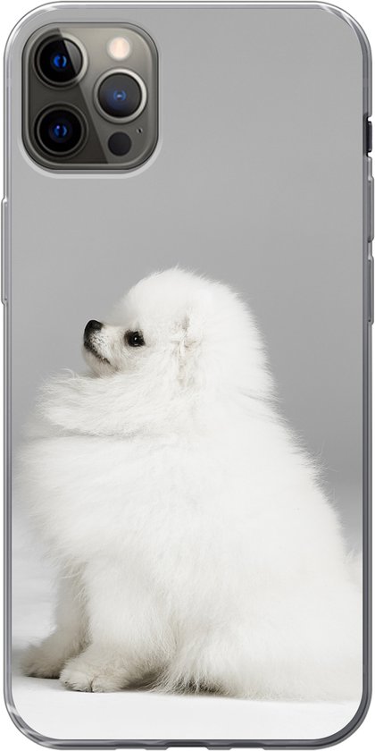 iPhone 12 Pro Max hoesje - Pomeriaan van de zijkant - Siliconen | bol.com