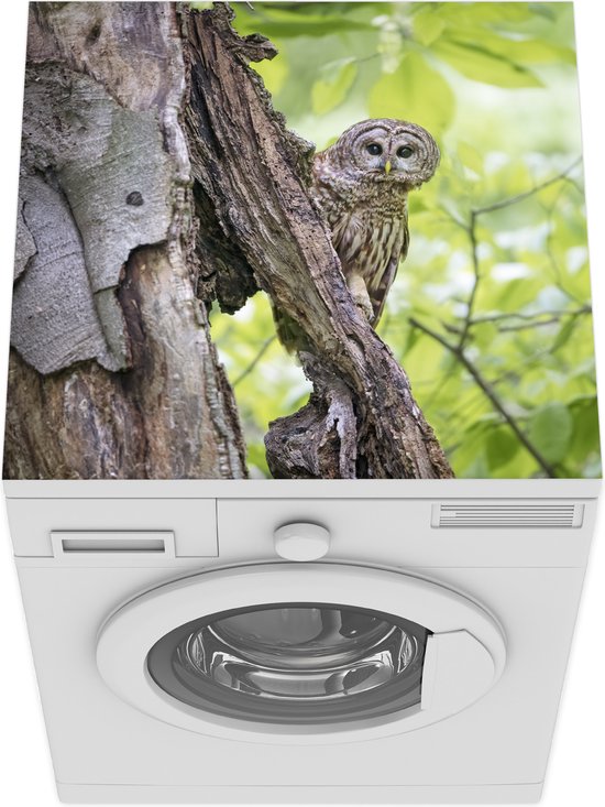 Protège machine à laver - Tapis de machine à laver - Hibou - Forêt ...
