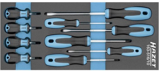 Hazet HAZET Schroevendraaierset 10-delig | bol.com