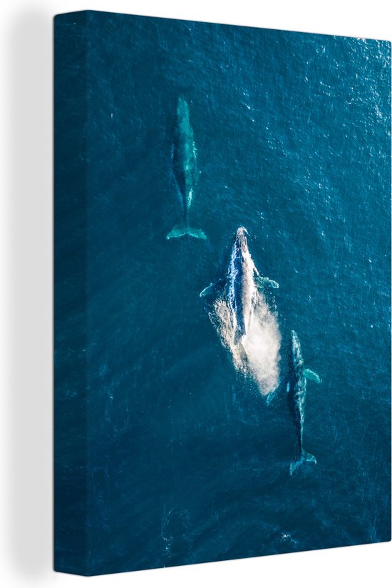 Canvas Schilderij Walvis - Zee - Oceaan - 30x40 cm - Wanddecoratie | bol