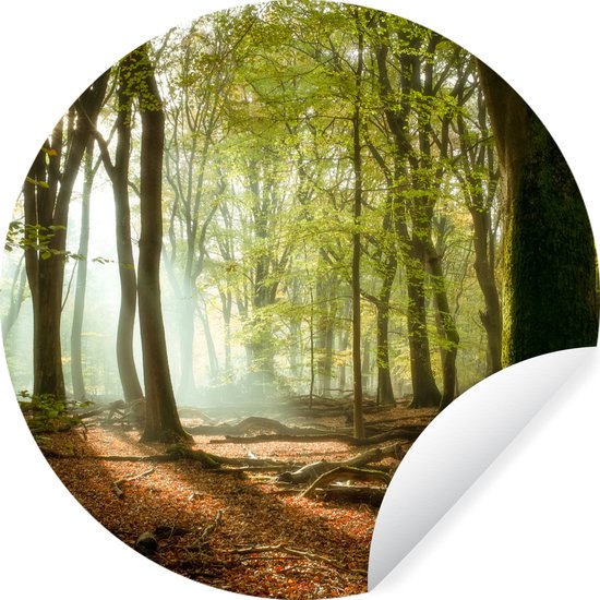 MuchoWow - Behangcirkel - Behangsticker - Zon - Lucht - Gras ...