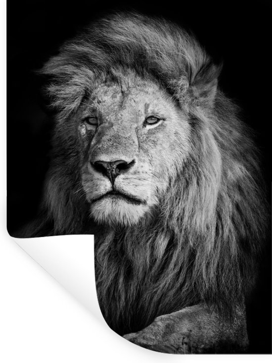 Muurstickers - Sticker Folie - Wilde dieren - Leeuw - zwart - Wit - 120x160 cm -... | bol