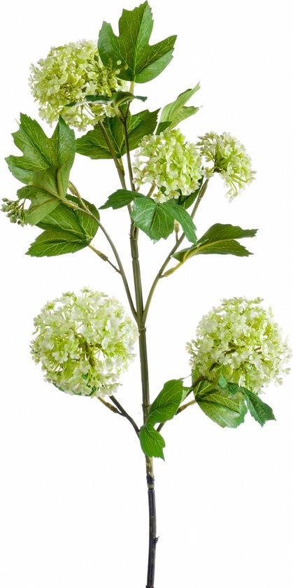 Fleurdirect Kunstbloem Viburnum - Polyester - Groen - 0 x 75 x 0 cm ... Fleurdirect Kunstbloem Viburnum - Polyester - Groen - 0 x 75 x 0 cm ...