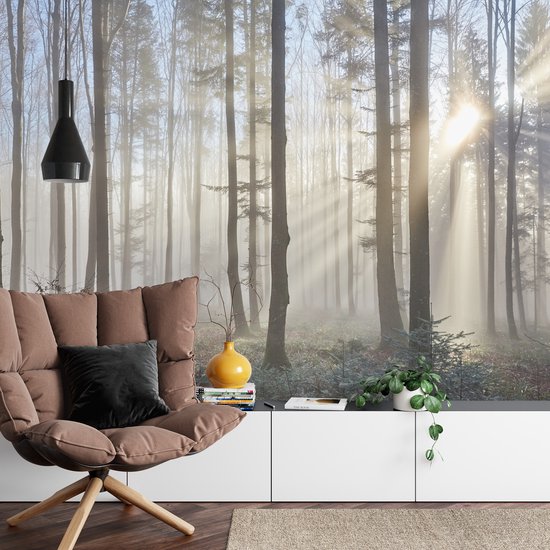Fotobehang Bos In Mist | bol