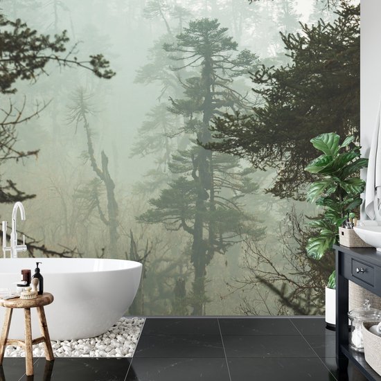 Fotobehang Bos In Mist | bol