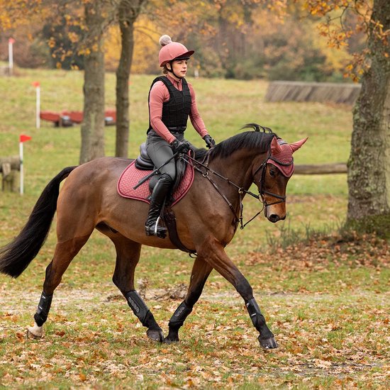 LeMieux Base Layer - maat 36 - orchid | bol.com