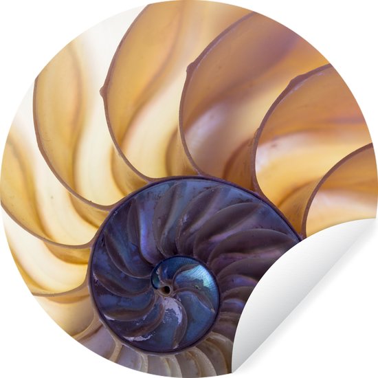 WallCircle - Muurstickers - Behangcirkel - Schelp - Blauw - Zee - 30x30 cm -... | bol.com