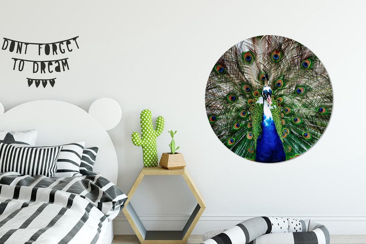 WallCircle - Muurstickers - Behangcirkel - Pauw - Veren - Vitiligo - 100x100 cm -... | bol.com