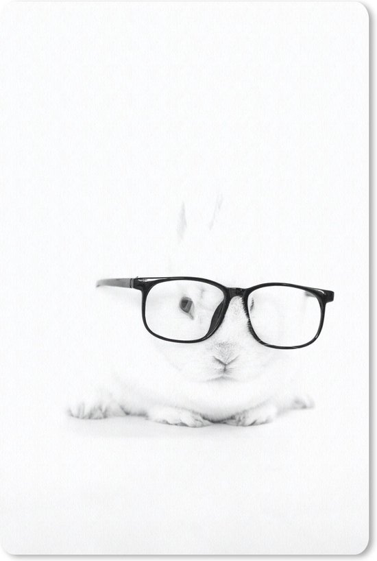 Een hipster albino konijn - zwart wit | bol.com