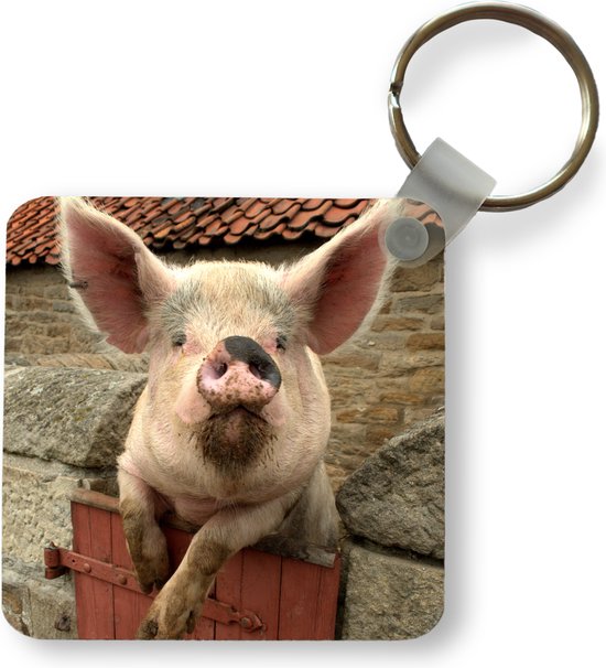 Sleutelhanger - Uitdeelcadeautjes - Varken - Roze - Dier - Plastic ...