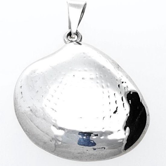 Zilveren Venus schelp XL kettinghanger | bol.com