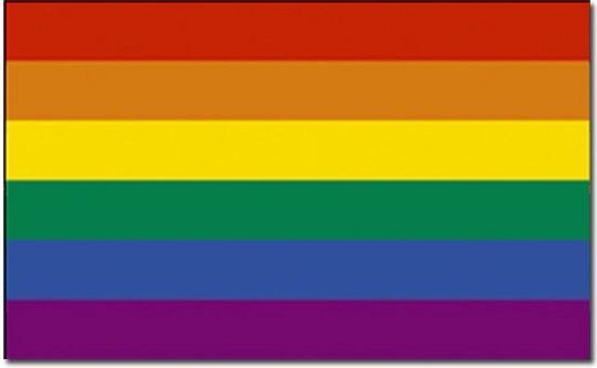 5x Drapeaux arc-en-ciel 90 x 150 cm - Drapeau Gaypride | bol.com