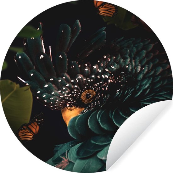 Behangcirkel - Vogel - Veren - Bladeren Portret - Zelfklevend behang - Behangsticker -... | bol