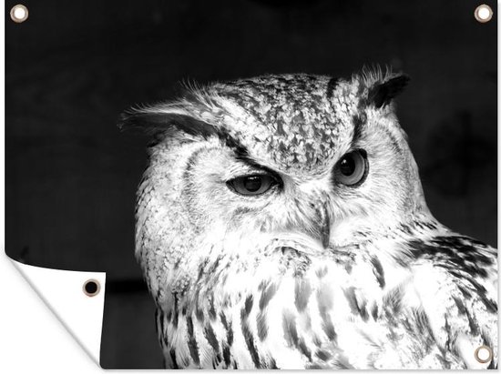 Tuinposter - Tuindoek - Tuinposters buiten - Bruine uil geeft een ...