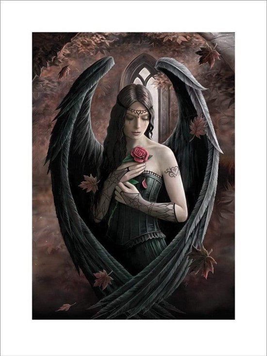 Pyramid Poster - Anne Stokes Angel Rose - 80 X 60 Cm - Multicolor | bol.com