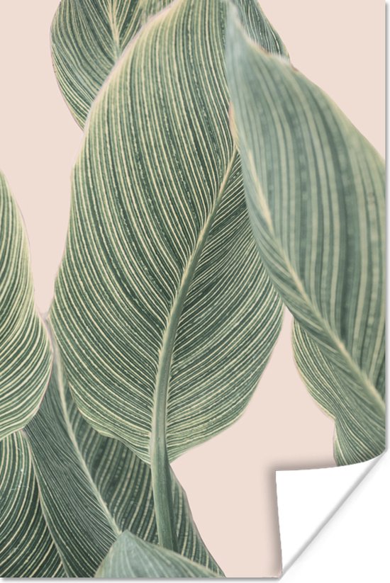 Poster Plant - Groen - Natuur - Beige - 120x180 cm XXL | bol