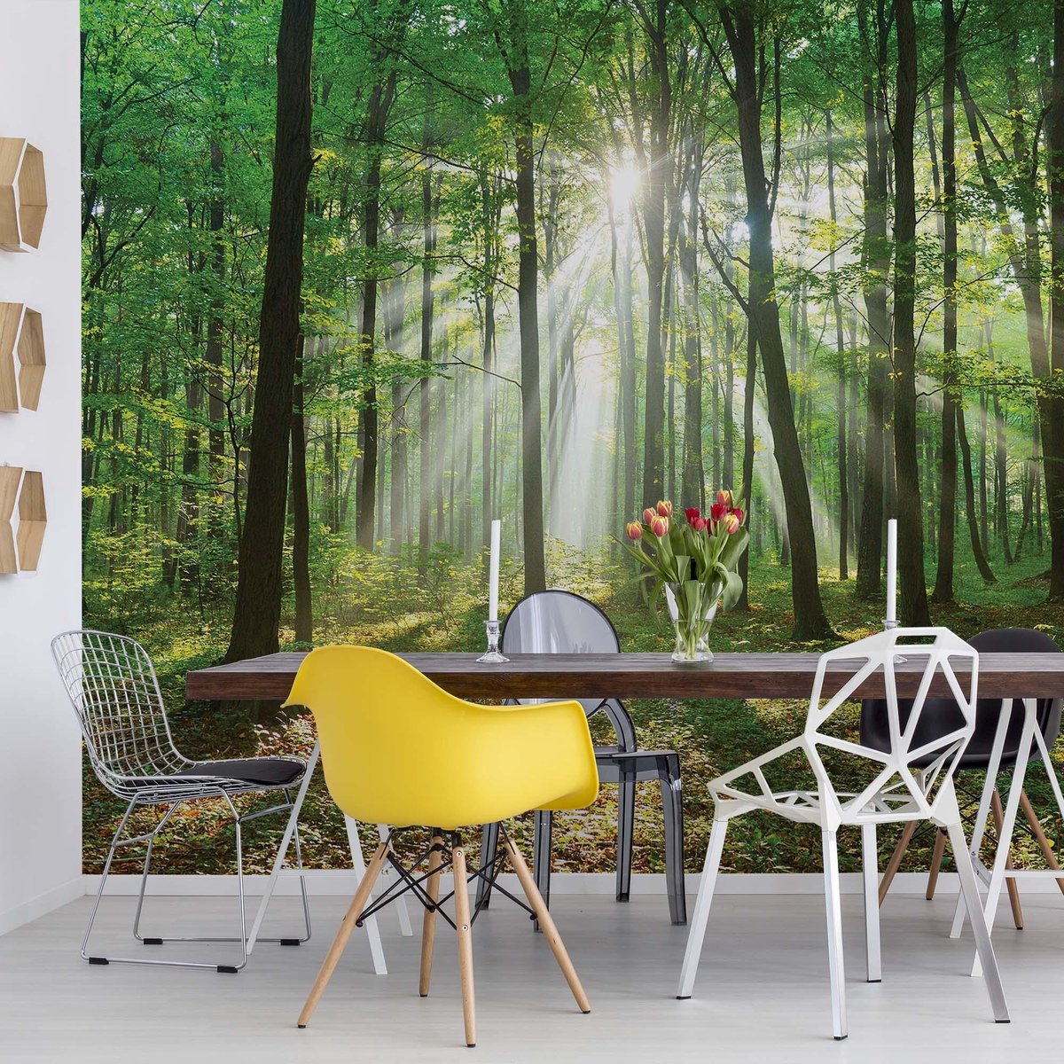 Fotobehangkoning - Fotobehang - Vliesbehang - Behang - Bos met Zonlicht ...