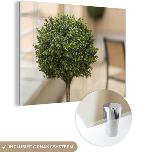 MuchoWow® Glasschilderij 120x90 cm - Schilderij acrylglas - Kleine nep ...