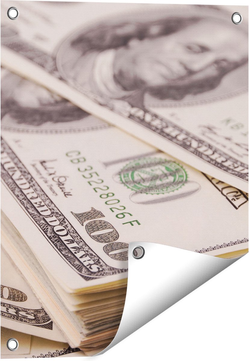 Gards Tuinposter Dollar Geld Briefjes - 40x50 cm - Tuindoek ...