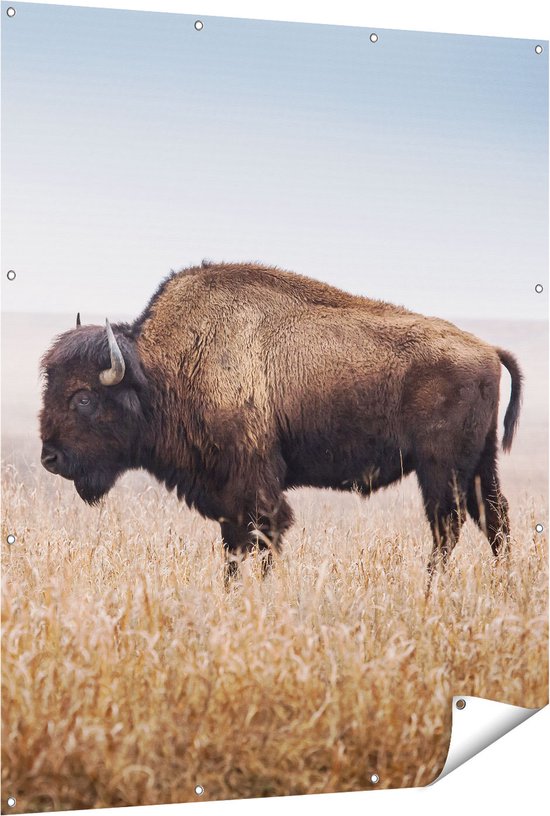 Gards Tuinposter Bizon in het Gras - 120x150 cm - Tuindoek ...