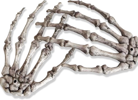 Halloween Decoratie - Realistische Skelet Handen - Scary Accessoires ...