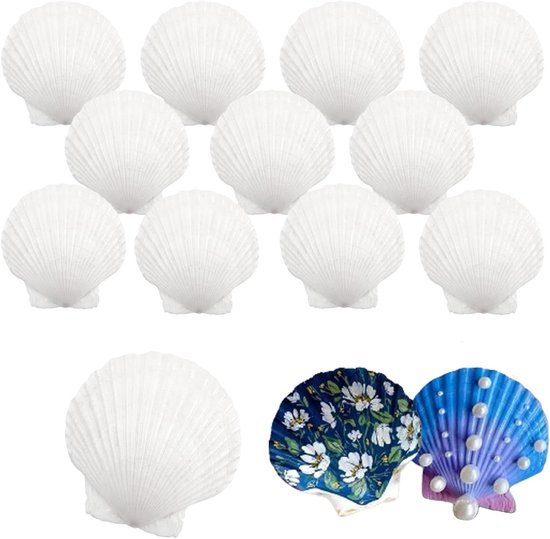 All4You - Witte Sint-Jakobsschelpen 12 Stuks 10-12cm Decoratieve Grote ...