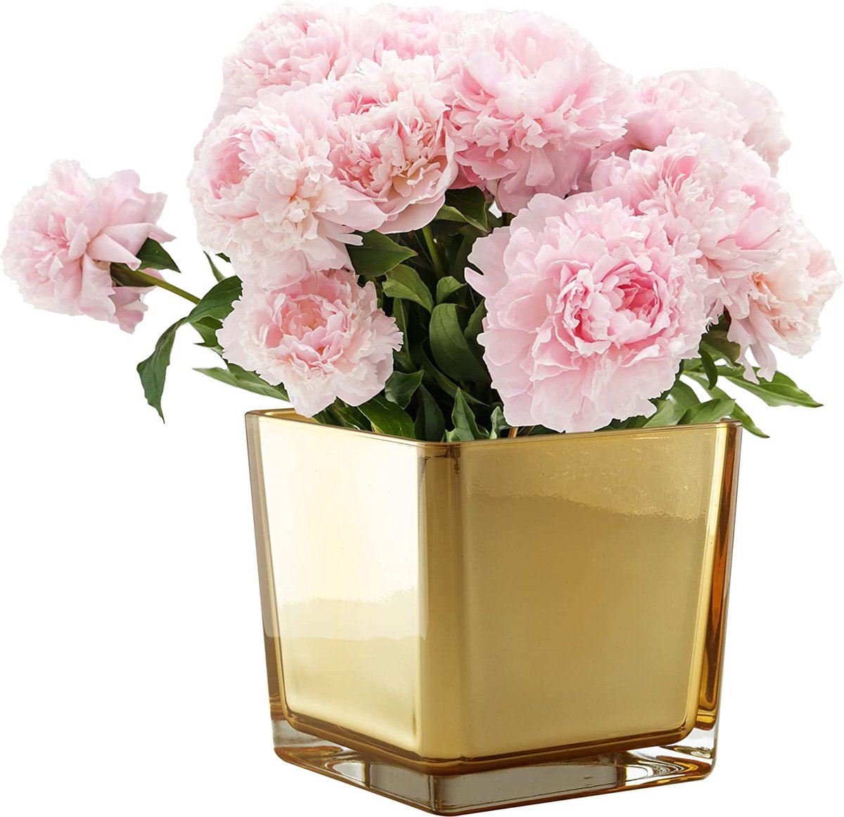 Bloem Vaas Glazen Vaas Bud Vazen voor Bloemen Plant Container Kaars ...