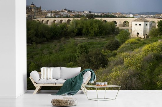 Behang - Fotobehang Roman Bridge of Córdoba in de natuur in Spanje ...