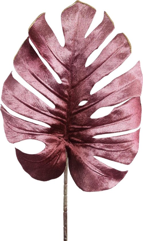 PTMD leaves plant paars velvet monstera blad | bol.com
