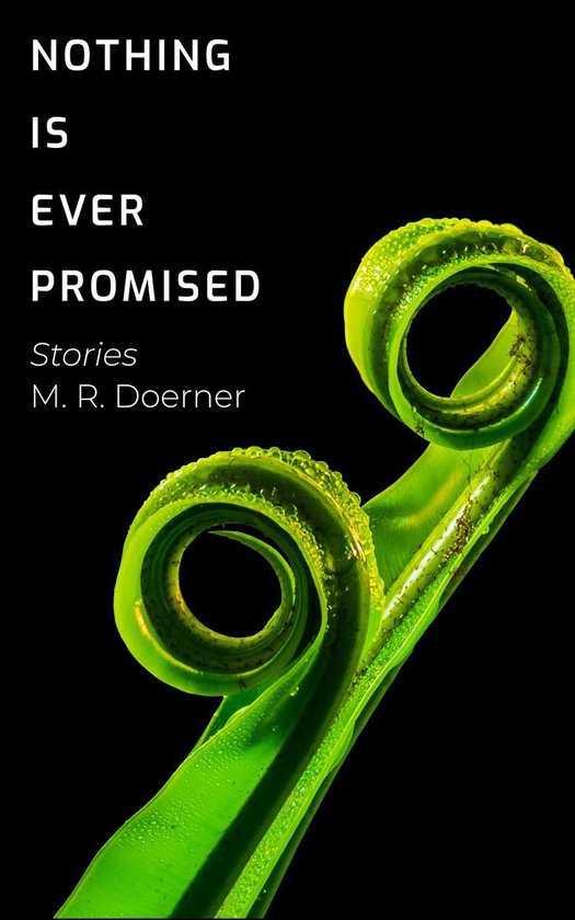 Nothing is Ever Promised (ebook), M. R. Doerner | 9781543959086 ...