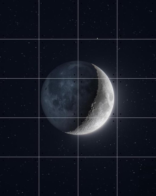 IXXI Earthshine, Tristan Zhou - 80 x 100 cm - Gratis ophangtool - Grote ...