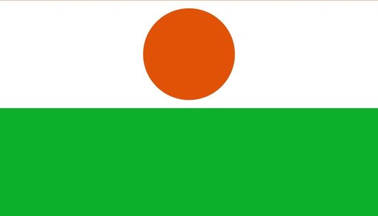 Vlag Niger 200x300cm | bol