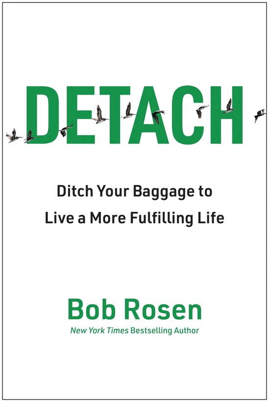 Detach (ebook), Bob Rosen | 9781637746462 | Boeken | bol