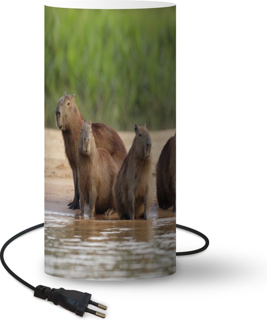 Lampe Capybara - Famille Capybara à lampe à eau - 33 cm de haut - Ø16 ...