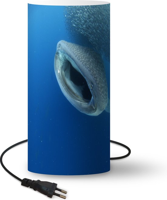 Lampe requin baleine - Un requin baleine dans la mer des Caraïbes - 54 ...
