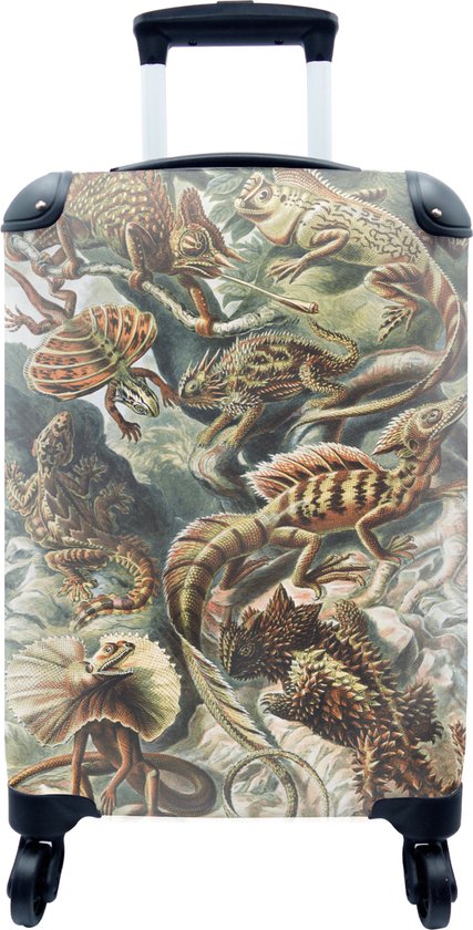 MuchoWow® Koffer - Vintage - Kunst - Ernst Haeckel - Salamanders ...