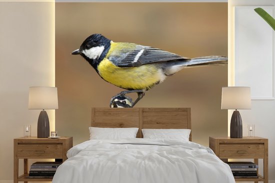 Behang - Fotobehang Een koolmees zit bovenop een andere koolmees ...