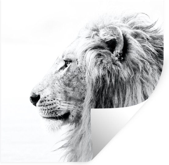 Muurstickers - Sticker Folie - Leeuw - Zwart - Wit - Dieren - 100x100 cm - Plakfolie -... | bol