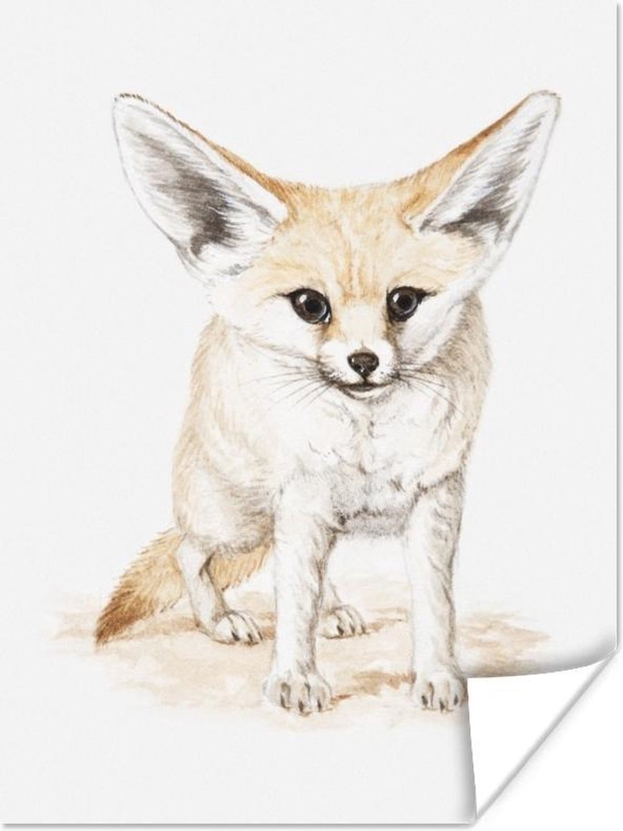 Poster Een natuurgetrouwe tekening van de fennek - 60x80 cm | bol.com