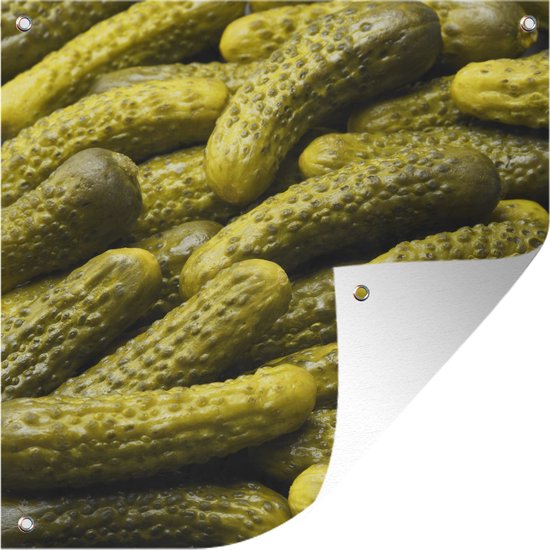 Tuinposters Augurken op een hoop - 50x50 cm - Tuindoek - Buitenposter | bol