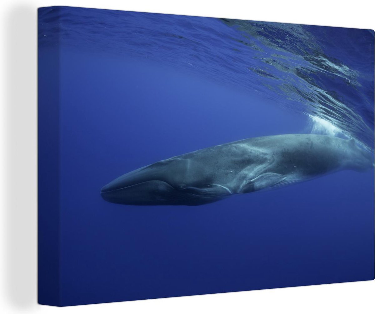 Canvas Schilderij Blauwe vinvis - Blauw - Walvis - 150x100 cm ...