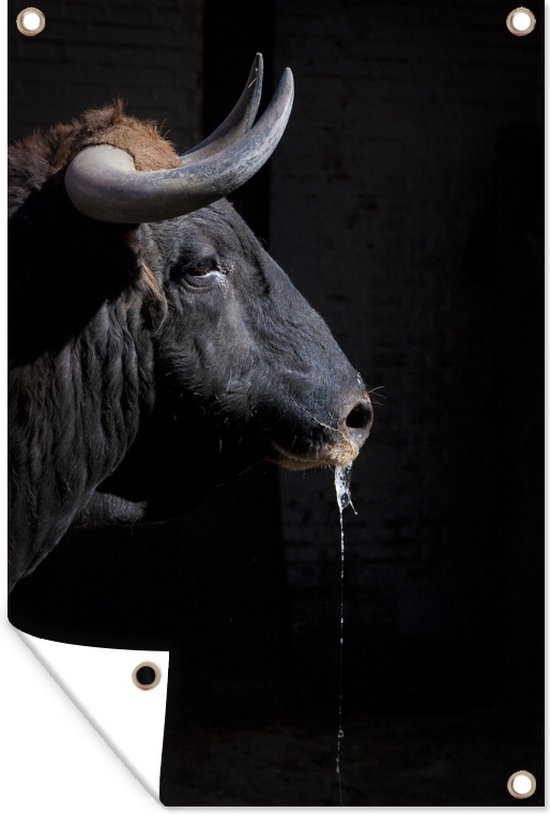 Tuindecoratie Een zwarte stier met hoorns op een zwarte achtergrond ...