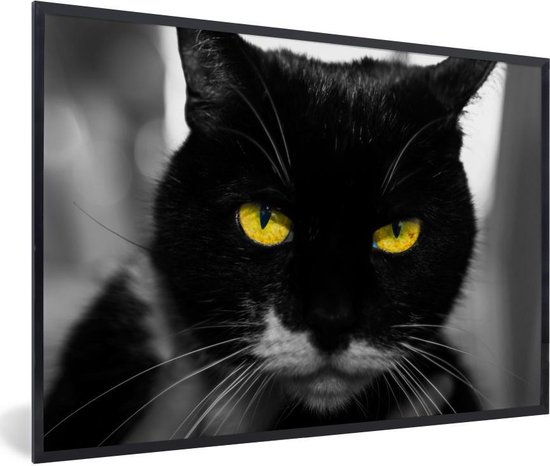 Cadre photo avec affiche - Photo Zwart et blanc de la tête d'un chat ...