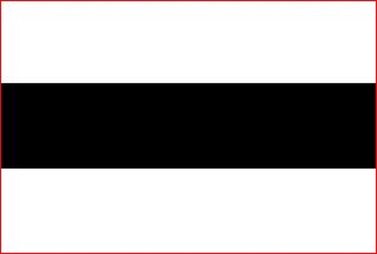 Vlag Delft 200x300cm | bol