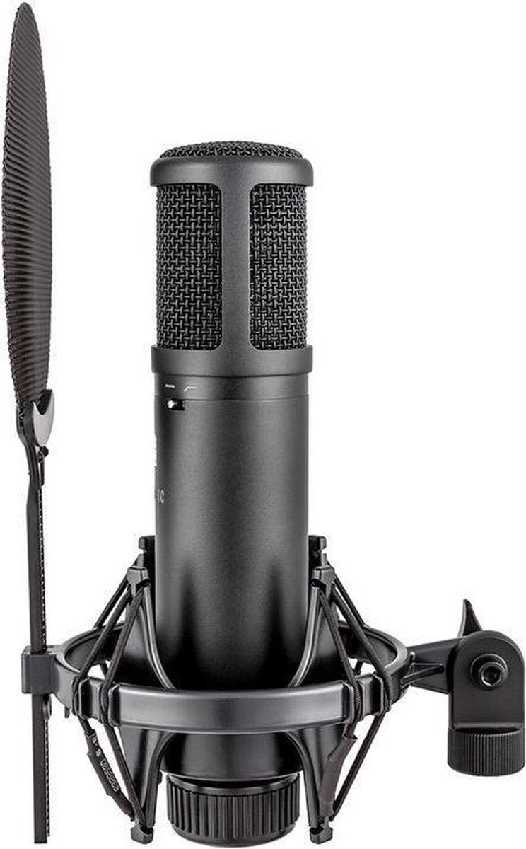 sE Electronics SE2200 - Cardioid Condenser Microfoon | bol.com