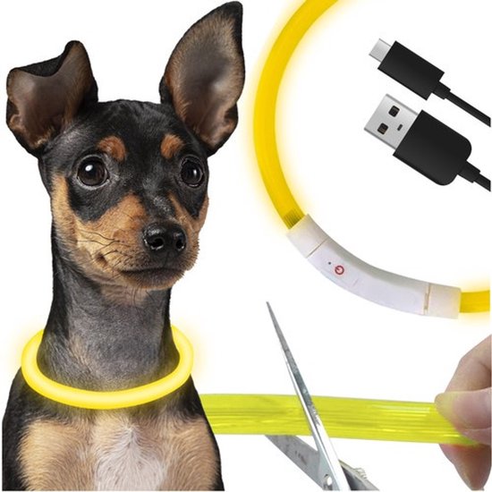 LED Halsband Hond & Kat – USB Oplaadbaar – 3 Lichtstanden – Op Maat te ...