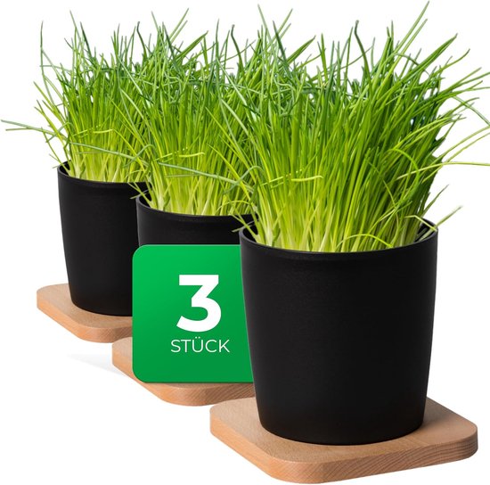 Novaliv Stijlvolle set van 3 kruidenpotten met houten voet voor elke ...