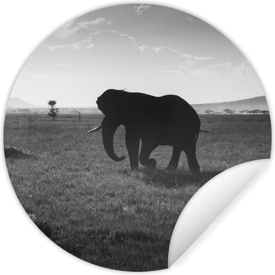 WallCircle - Muurstickers - Behangcirkel - Olifant - Vlakte - Dieren - Zwart wit -... | bol